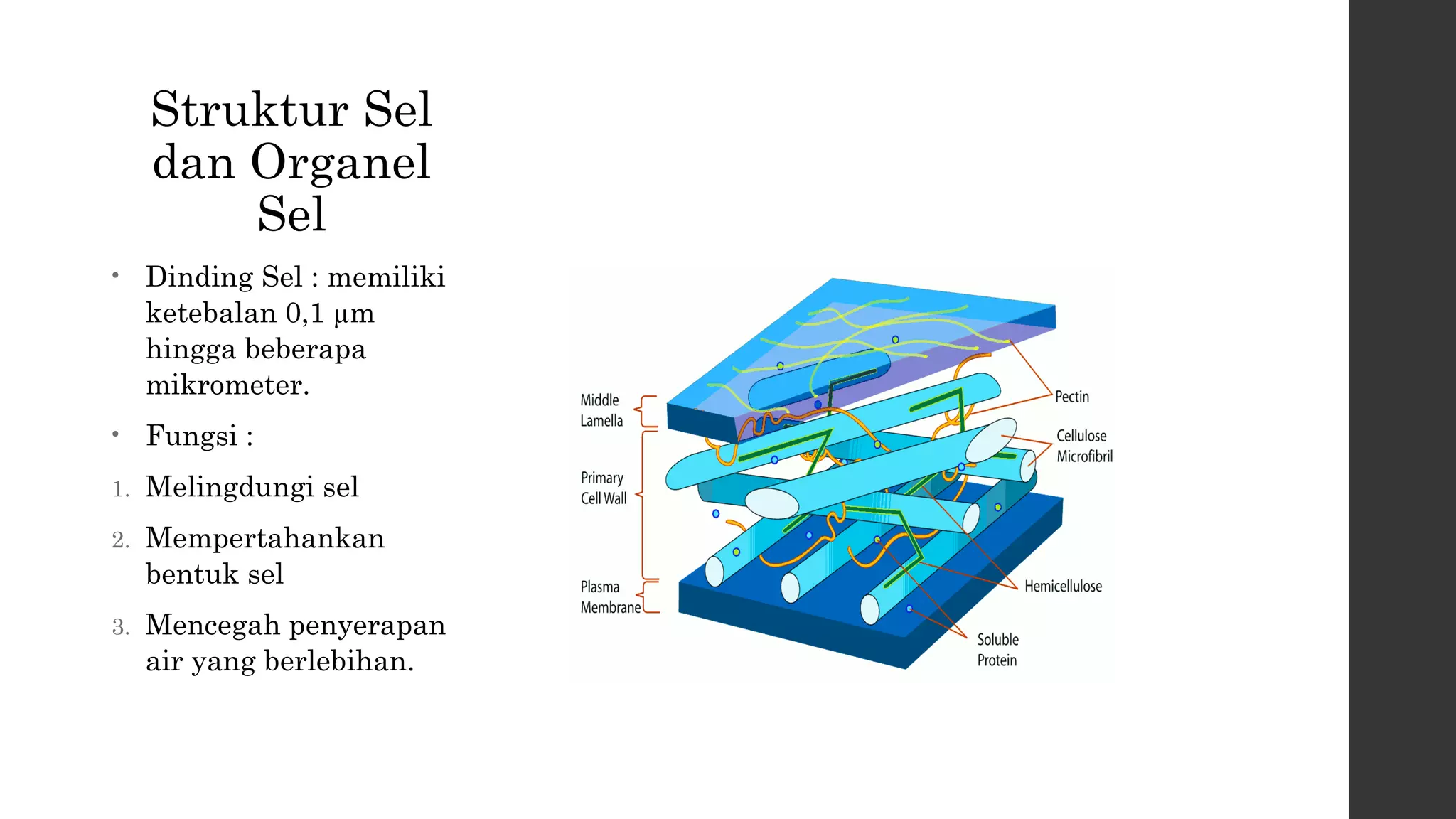 Biologi Sel kelas XI kurikulum 2013 ppt | PPT