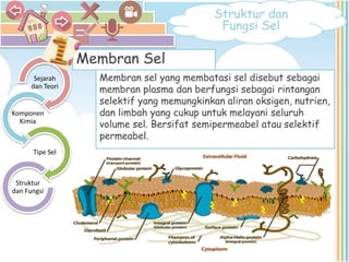 Powerpoint Multimedia Interaktif Sel | PPT