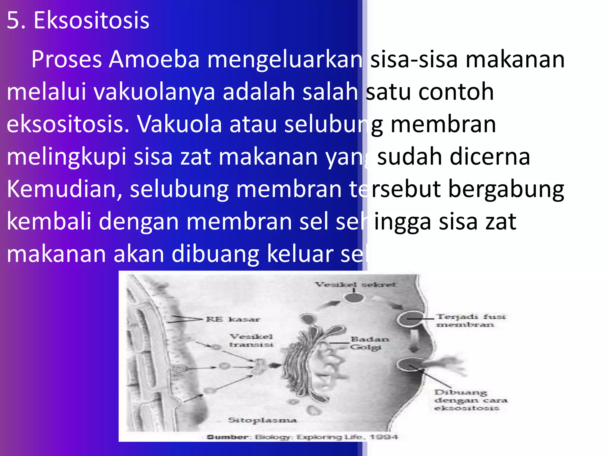 Unsur-unsur Sel dan Perngertiannya | PPTX