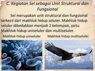 Unsur-unsur Sel dan Perngertiannya | PPTX