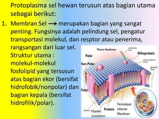Unsur-unsur Sel dan Perngertiannya | PPTX