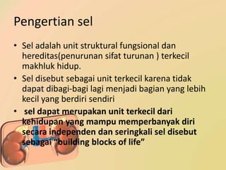 Sel | PPTX
