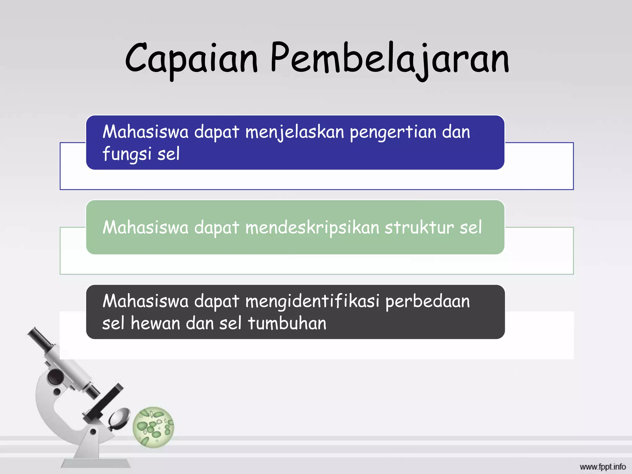 Sel.ppt