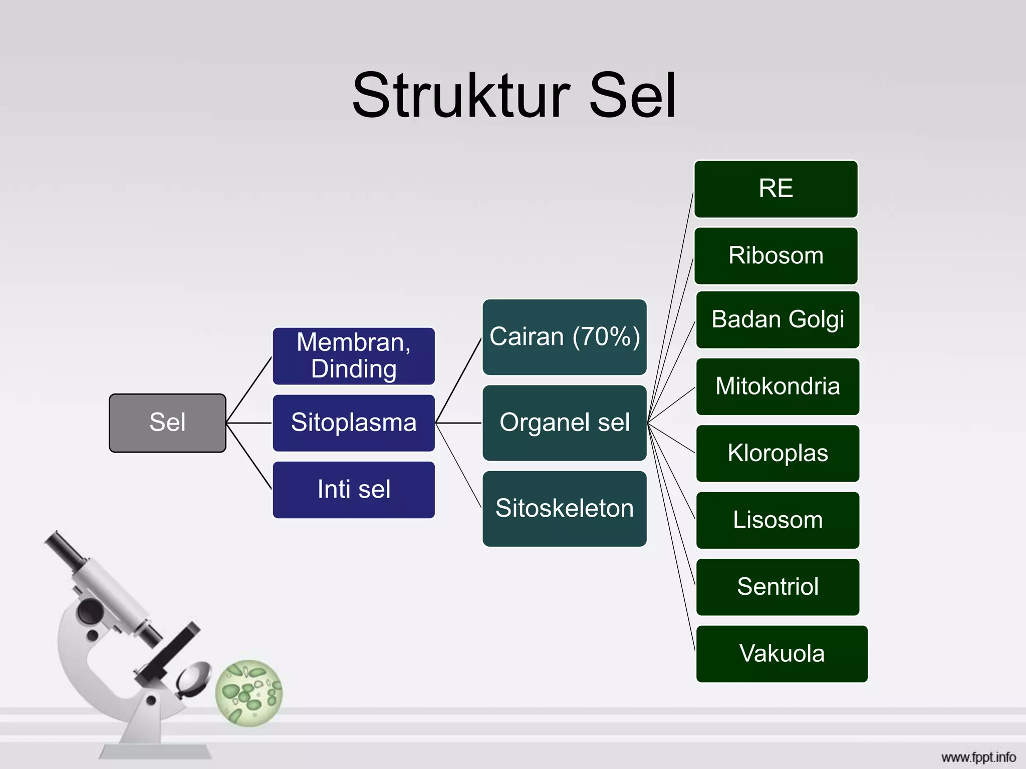 Sel.ppt