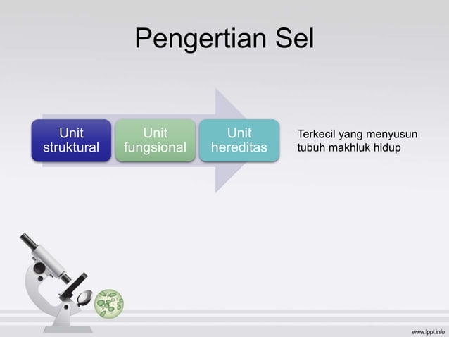 Sel.ppt