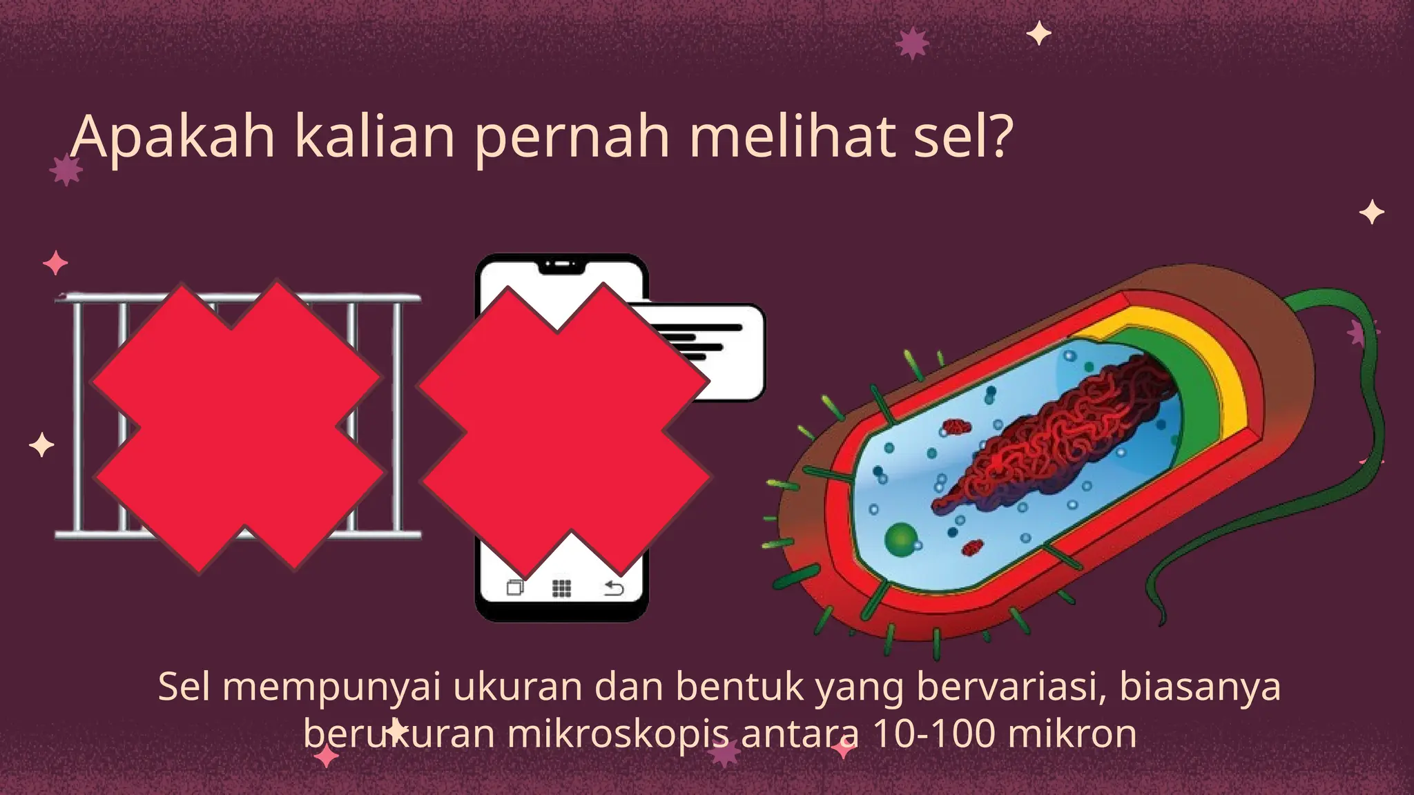 SEL HEWAN, SEL TUMBUHAN, SPESIALISASI SEL.pptx