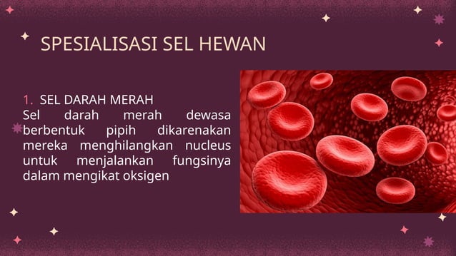 SEL HEWAN, SEL TUMBUHAN, SPESIALISASI SEL.pptx