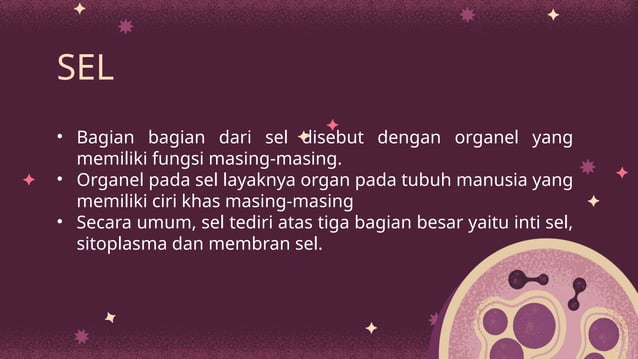 SEL HEWAN, SEL TUMBUHAN, SPESIALISASI SEL.pptx