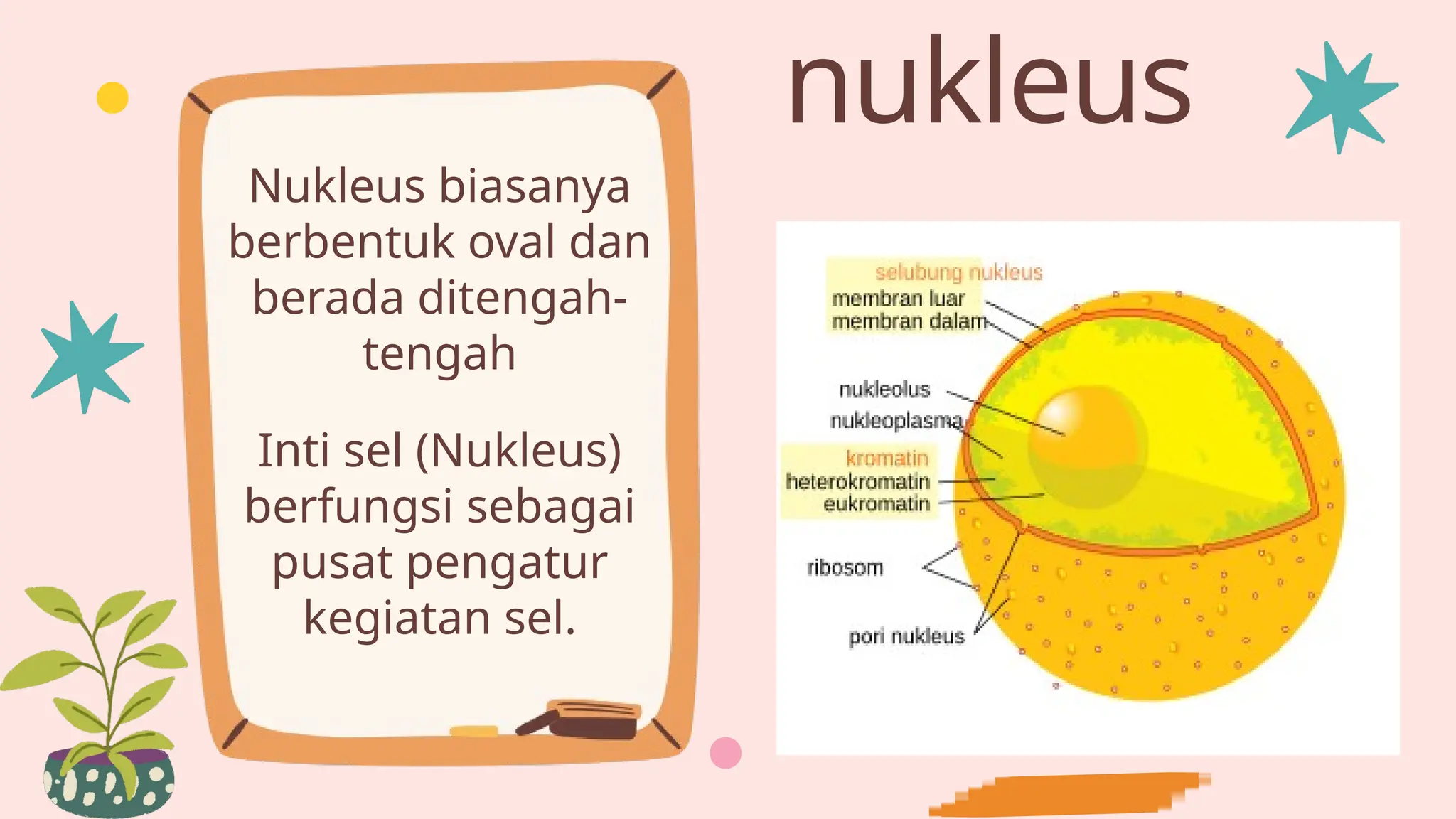 power point tentang struktur dan fungsi sel kelas XI SMA | PPTX