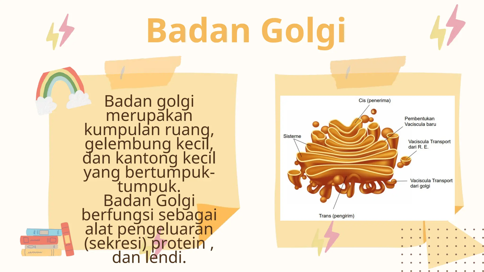 power point tentang struktur dan fungsi sel kelas XI SMA | PPTX