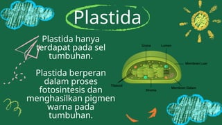 power point tentang struktur dan fungsi sel kelas XI SMA | PPTX