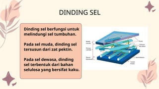 power point tentang struktur dan fungsi sel kelas XI SMA | PPTX