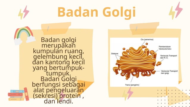 power point tentang struktur dan fungsi sel kelas XI SMA | PPT