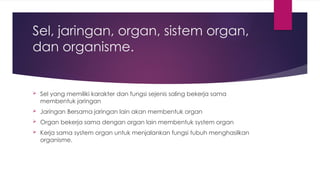 SEL yang terdapat pada hewan maup[un tumbuhan.pptx