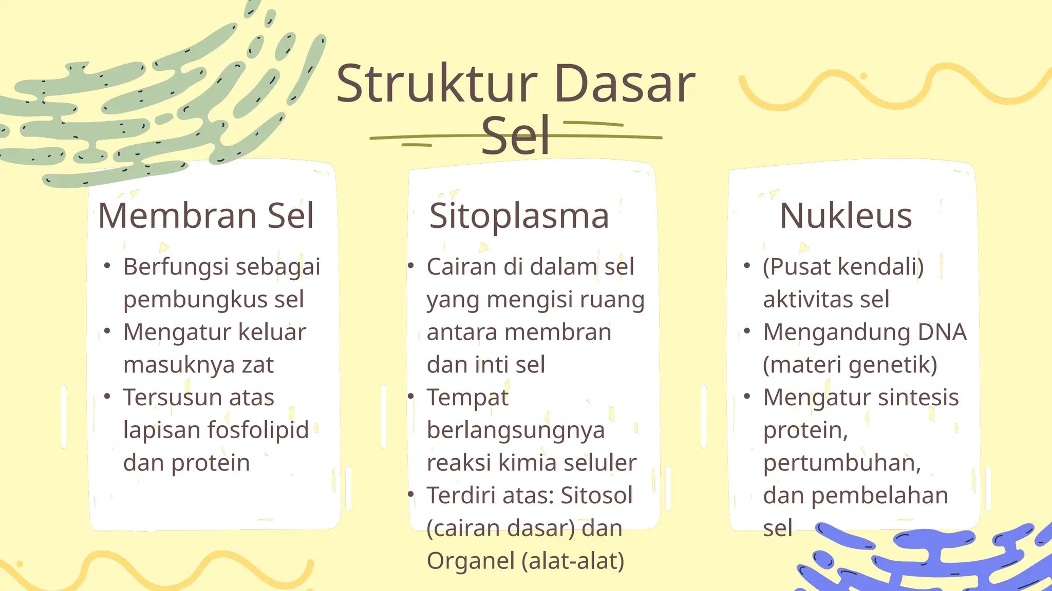Materi Sel Kelas XI SMA (Ciri-ciri dan Tipe) | PPTX