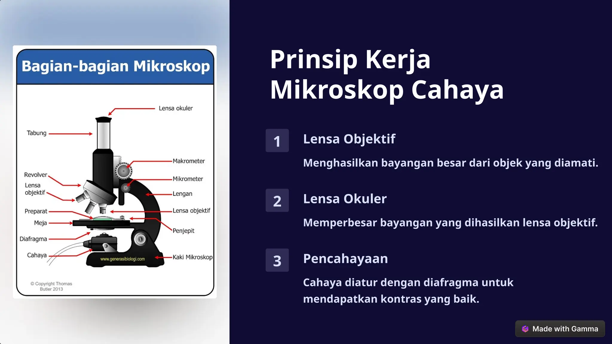 Sel dan mikroskop kelas VIII kurikulum merdeka | PPTX