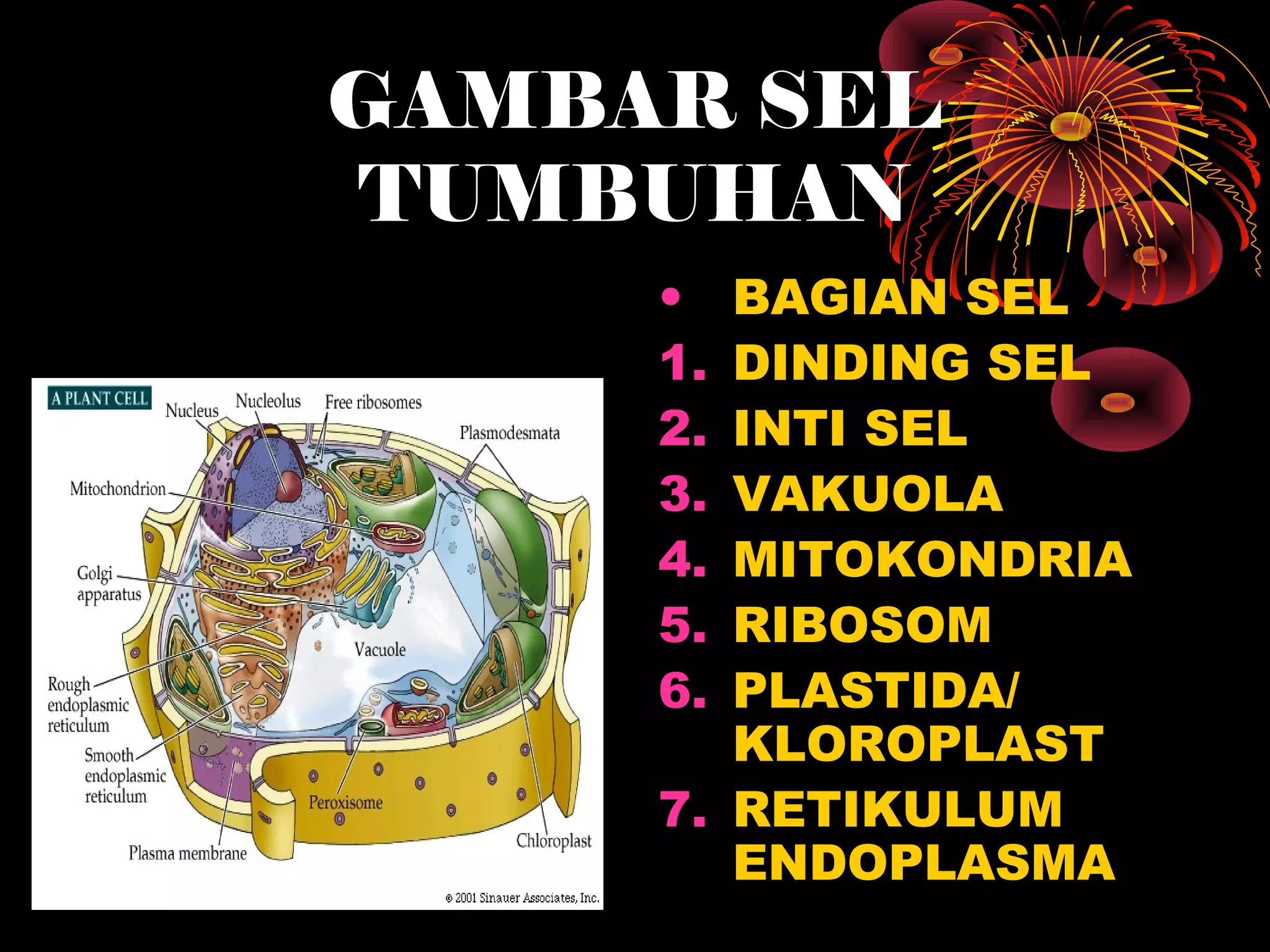Sel jaringan-organ-dan-sistem-organ1 | PPT
