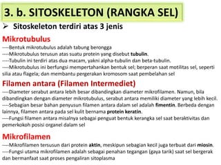 Sel ---organel-organel sel | PPTX