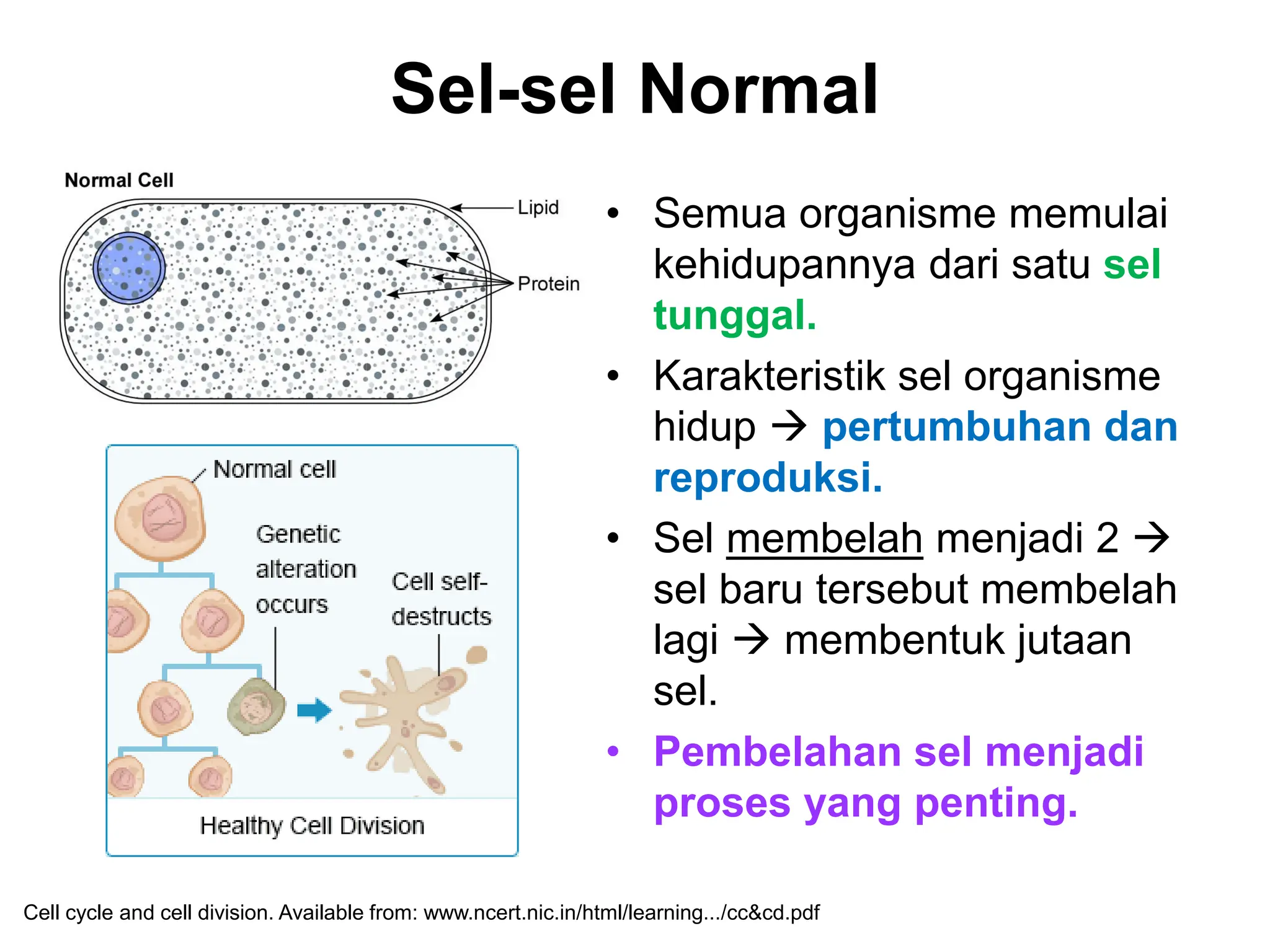 perubahan Sel-sel_normal_menjadi_kanker.pdf