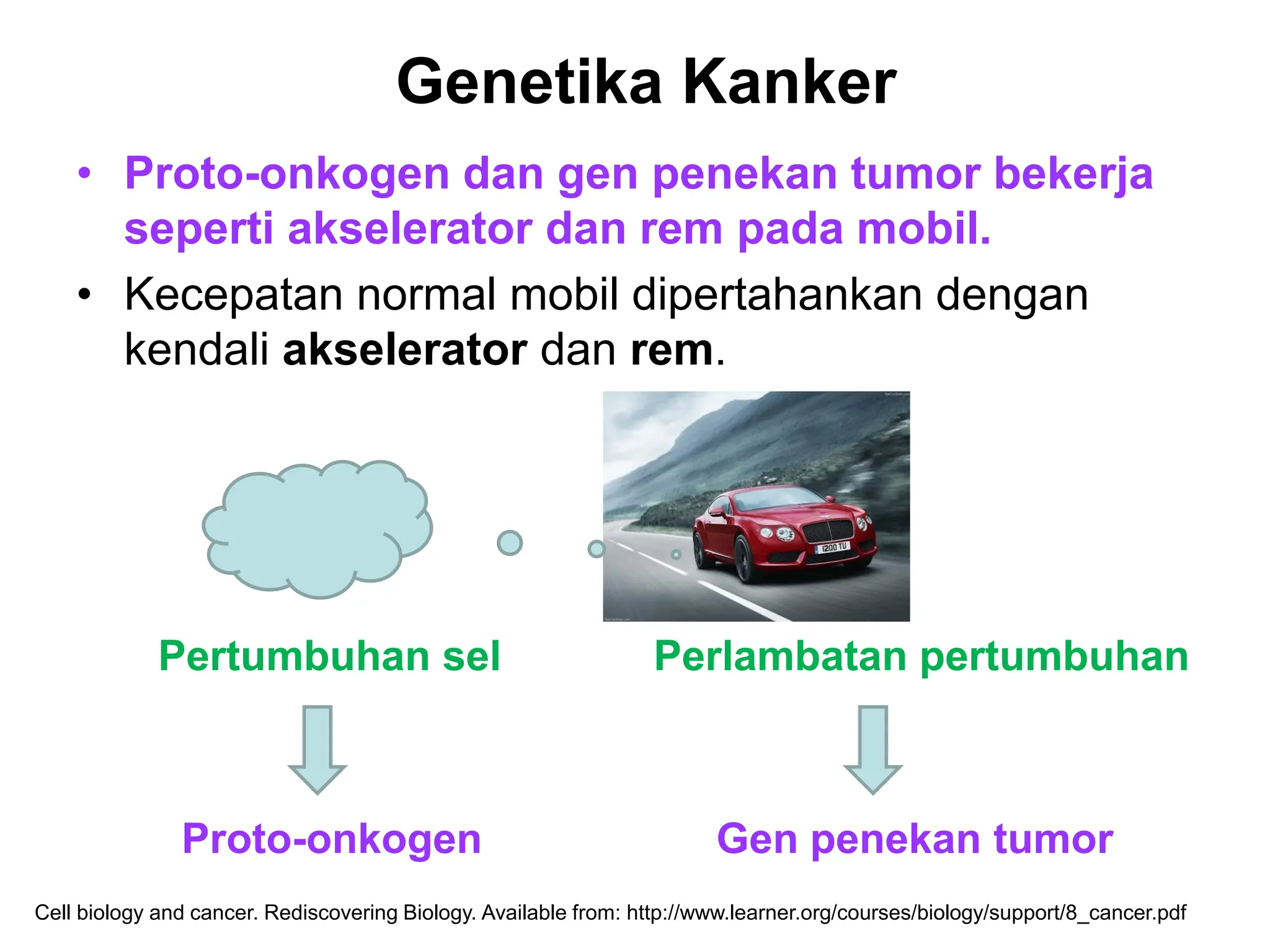 perubahan Sel-sel_normal_menjadi_kanker.pdf