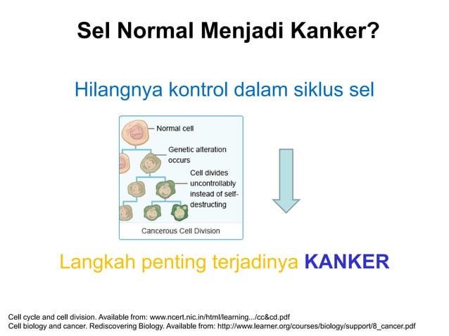 perubahan Sel-sel_normal_menjadi_kanker.pdf