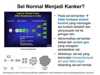 perubahan Sel-sel_normal_menjadi_kanker.pdf