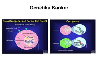 perubahan Sel-sel_normal_menjadi_kanker.pdf