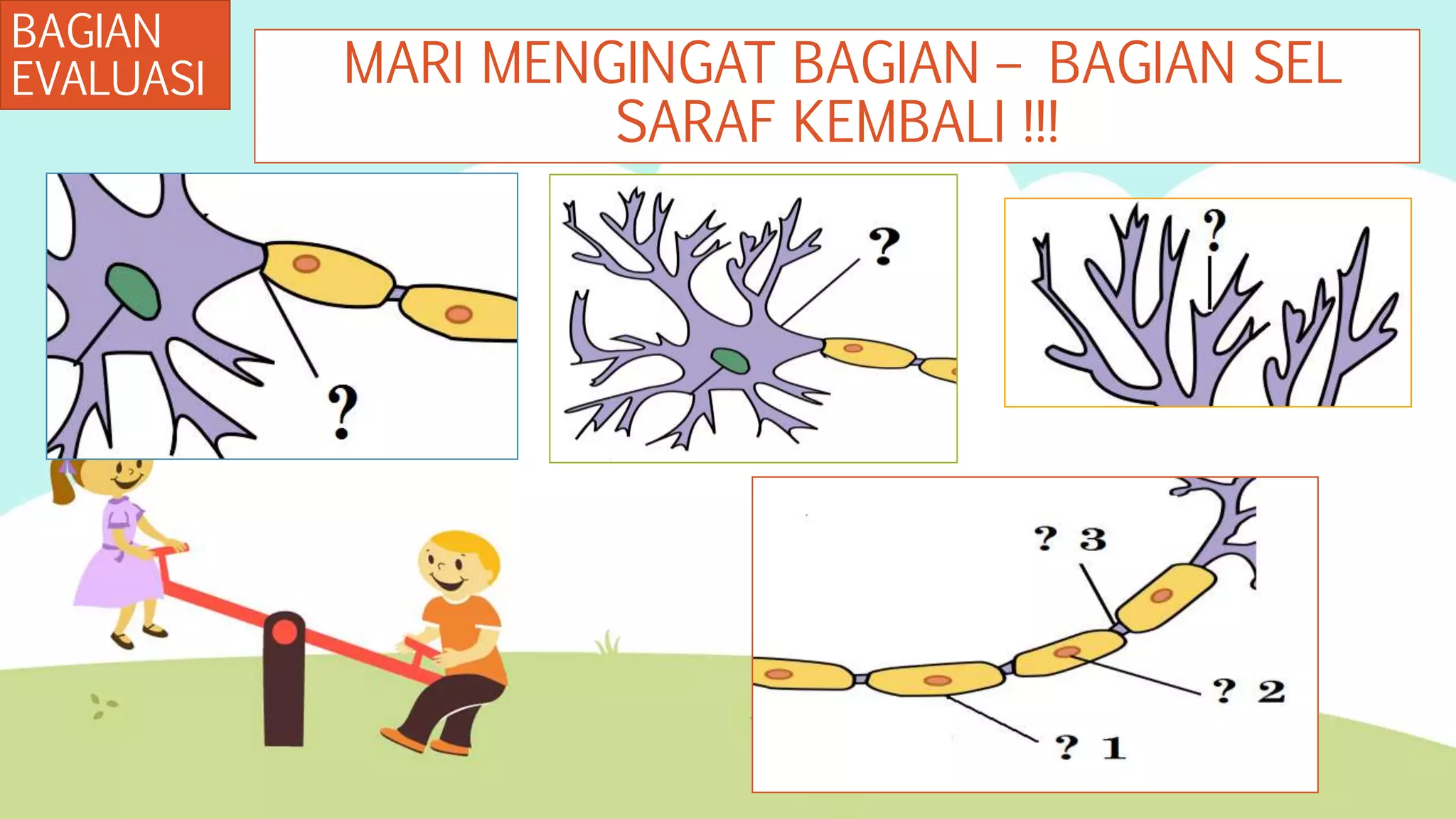 Bagian - Bagian Sel Saraf (Rajmil S. Shalsabila) IX-A | PPT