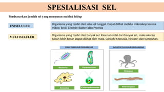 Materi Sel dan sistem organ pada manusia.pptx