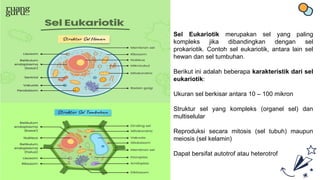Materi Sel Hewan Tumbuhan dan Manusia - SMA.pptx
