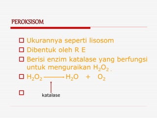 sel-tumbuhan-dan-hewan.ppt