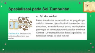 sel dan organel sel pada makhluk hidup di dunia ini | PPTX