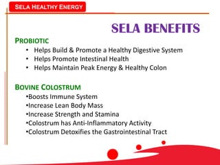 Sela Powerpoint | PPTX