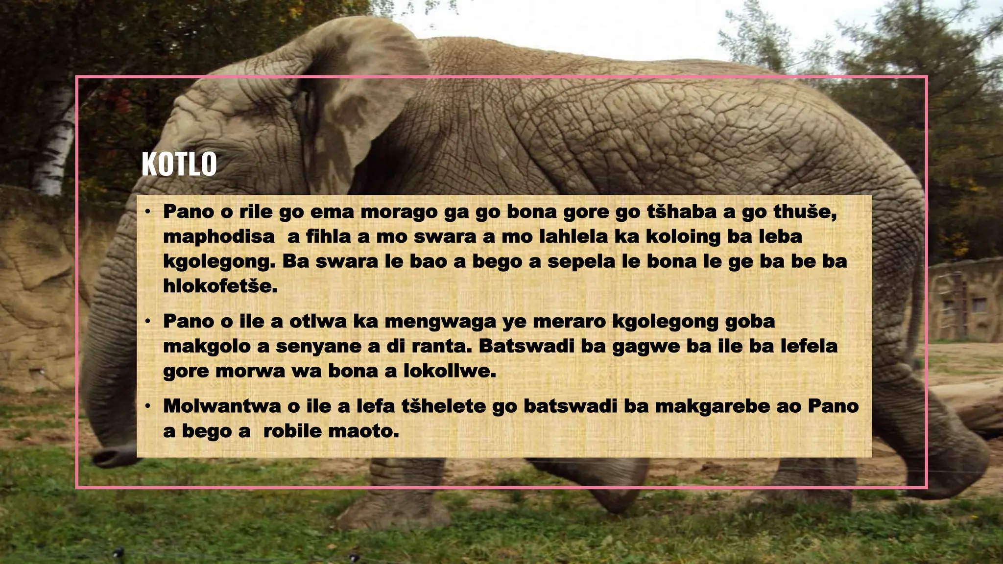 selaete sa sepedi. edited (3).pptx