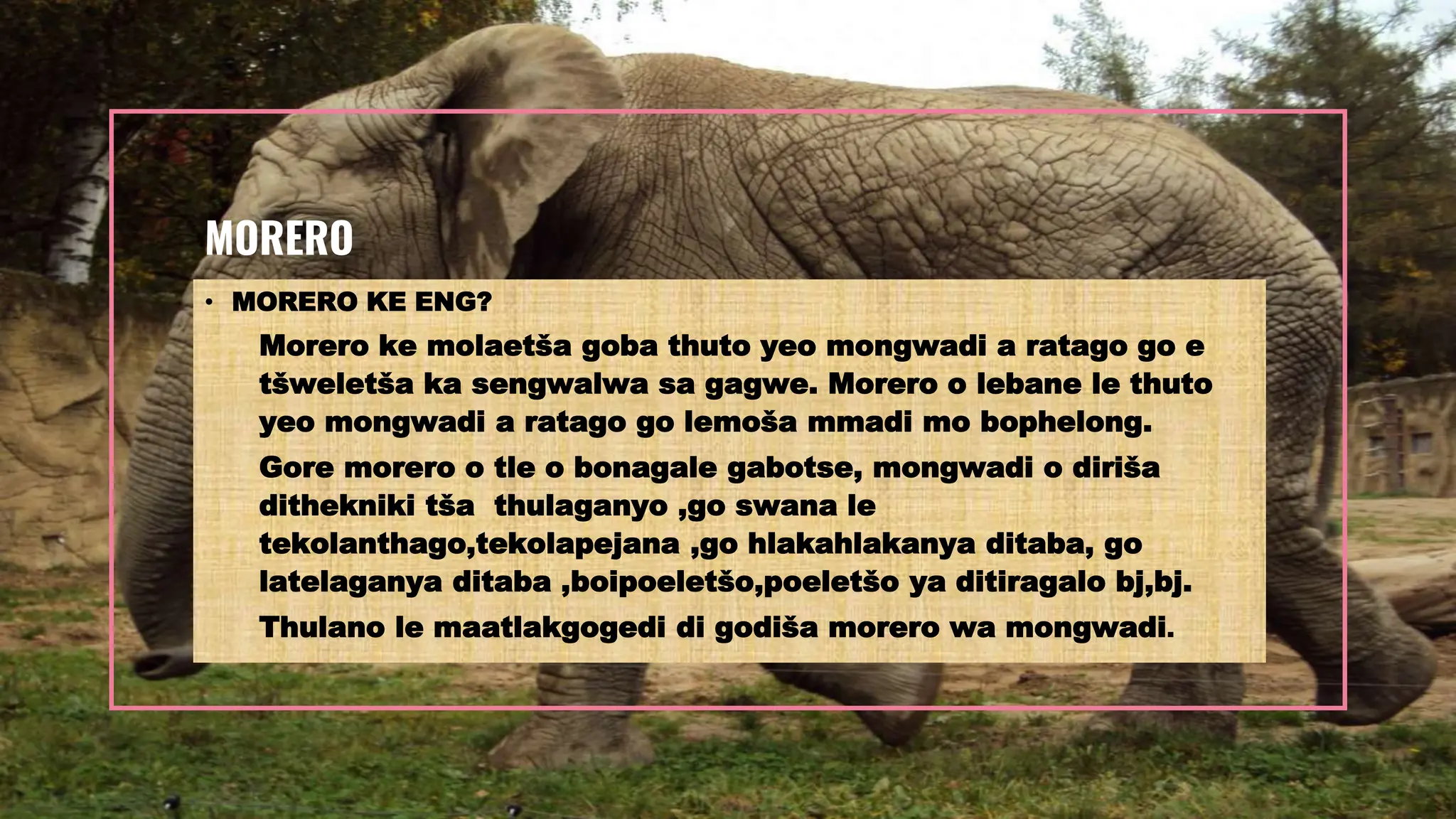 selaete sa sepedi. edited (3).pptx