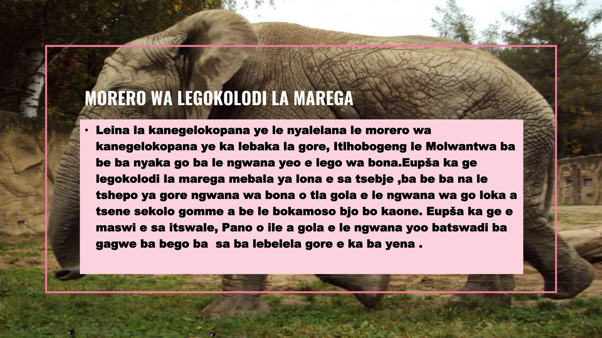 selaete sa sepedi. edited (3).pptx