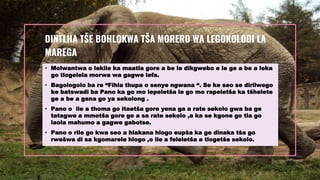 selaete sa sepedi. edited (3).pptx