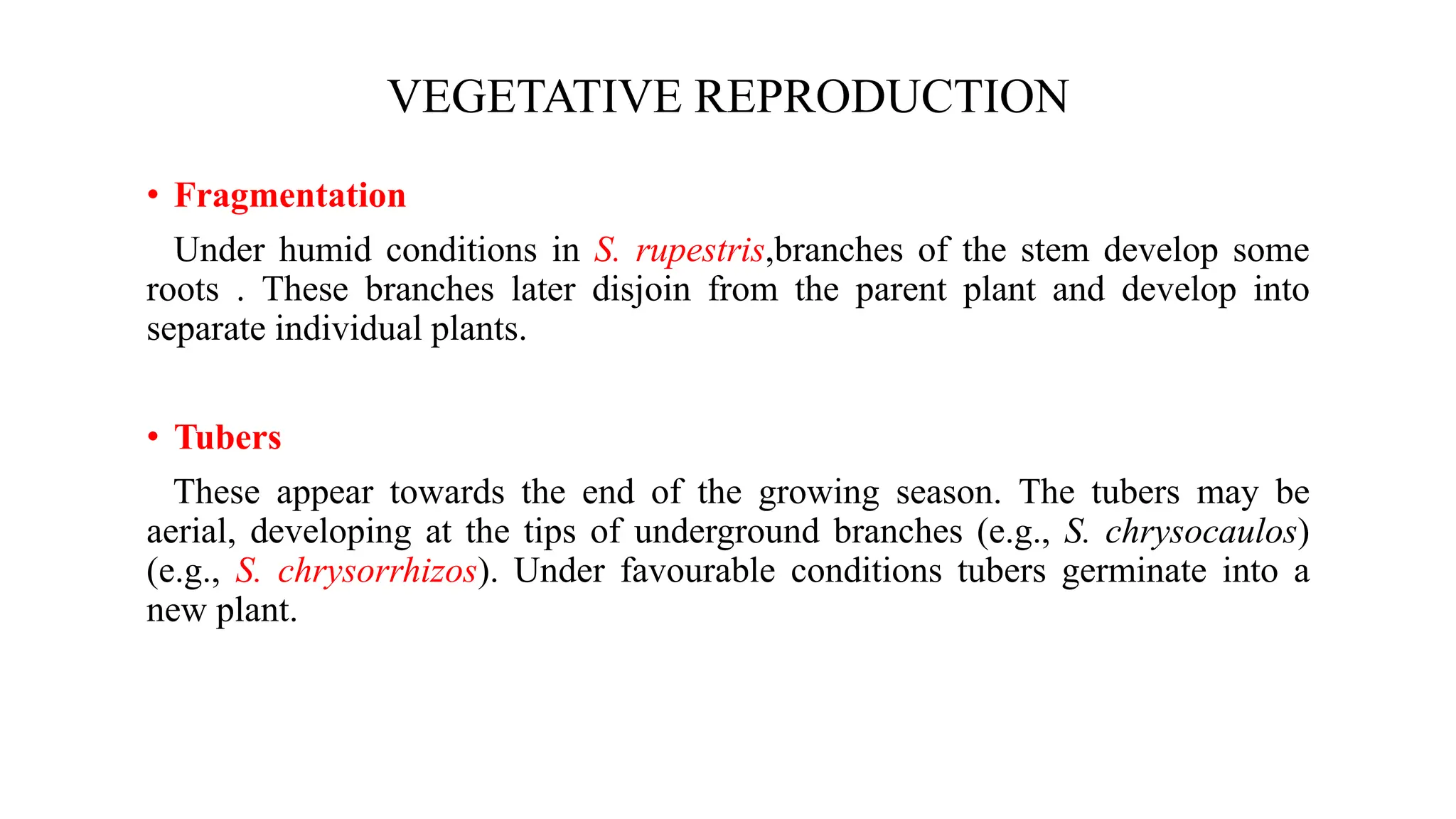 Selaginella: features, morphology ,anatomy and reproduction. | PPTX