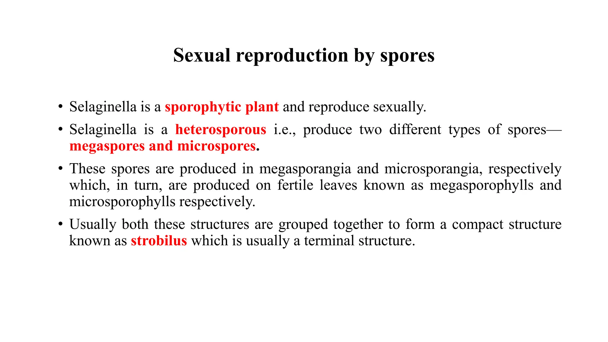 Selaginella: features, morphology ,anatomy and reproduction. | PPTX