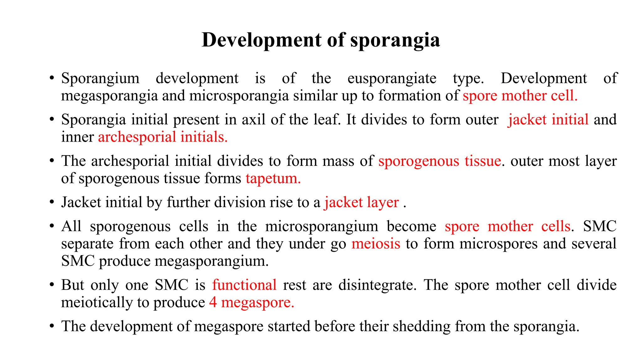 Selaginella: features, morphology ,anatomy and reproduction. | PPTX