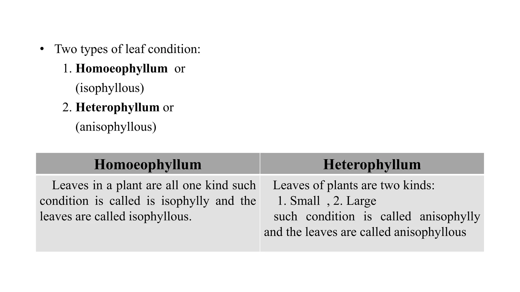 Selaginella: features, morphology ,anatomy and reproduction. | PPTX