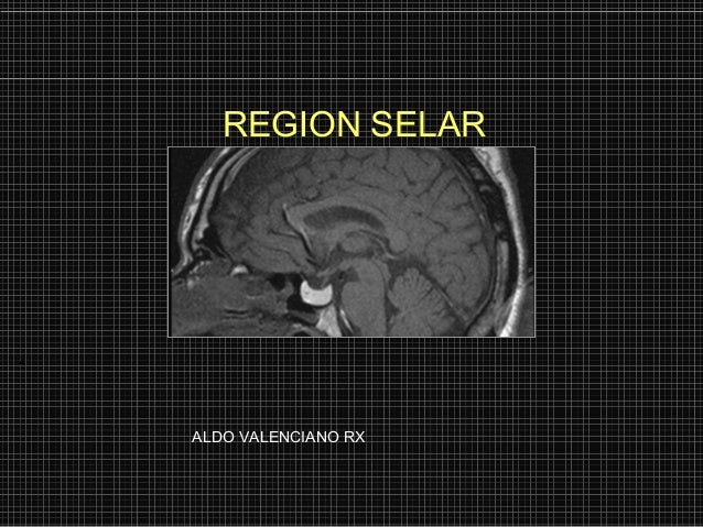 Anatomia de region selar