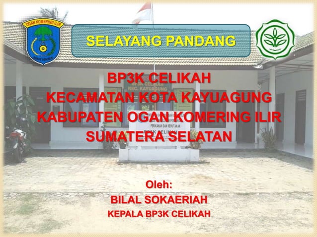 Selayang pandang | PPT