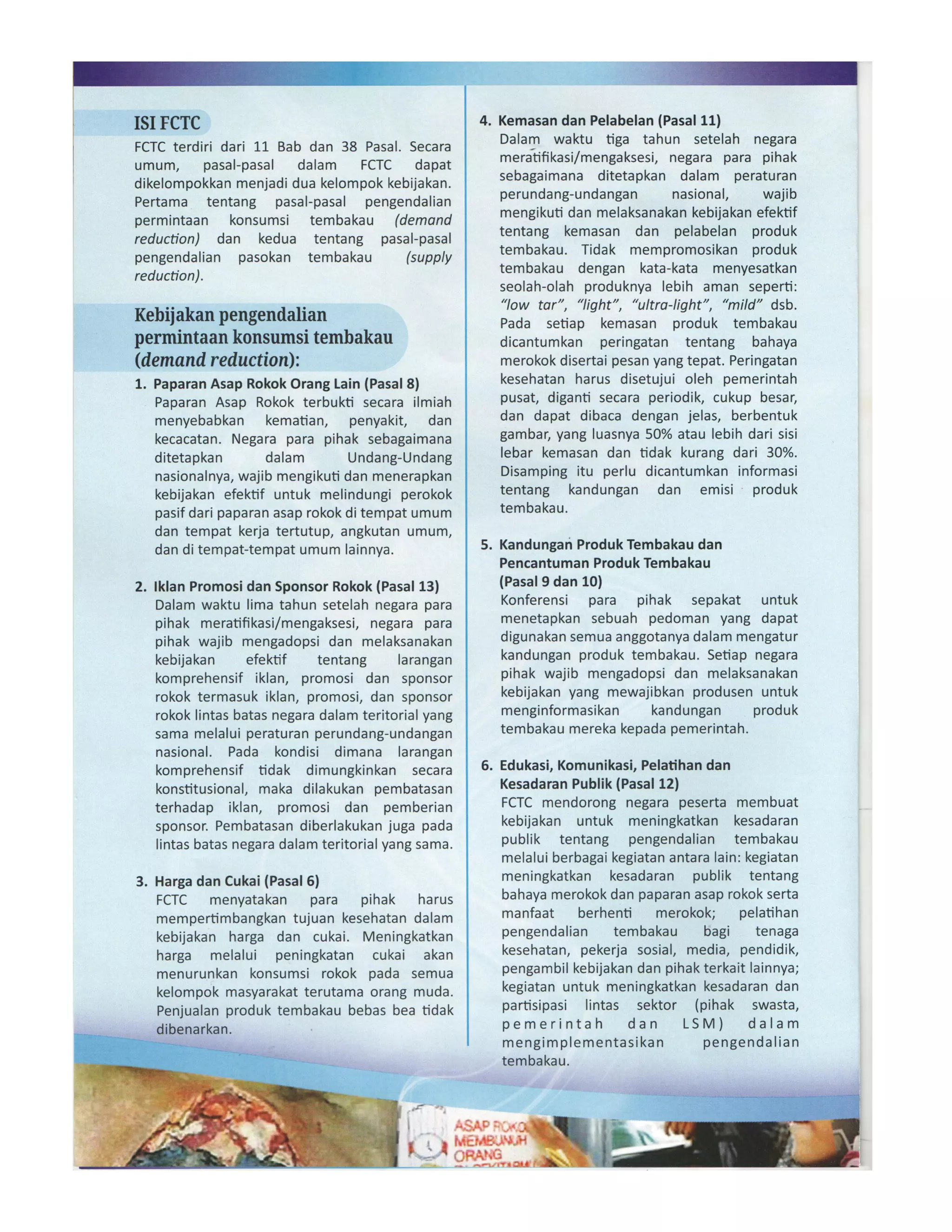 Selayang Pandang FCTC | PDF