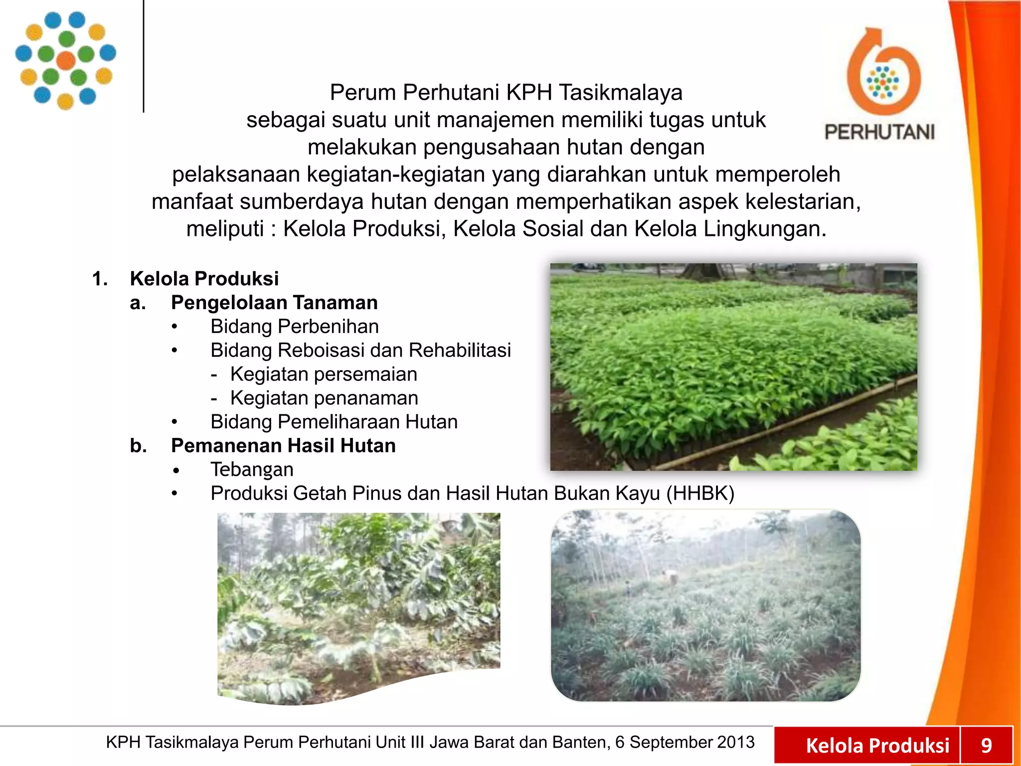 Selayang pandang tsm | PPT