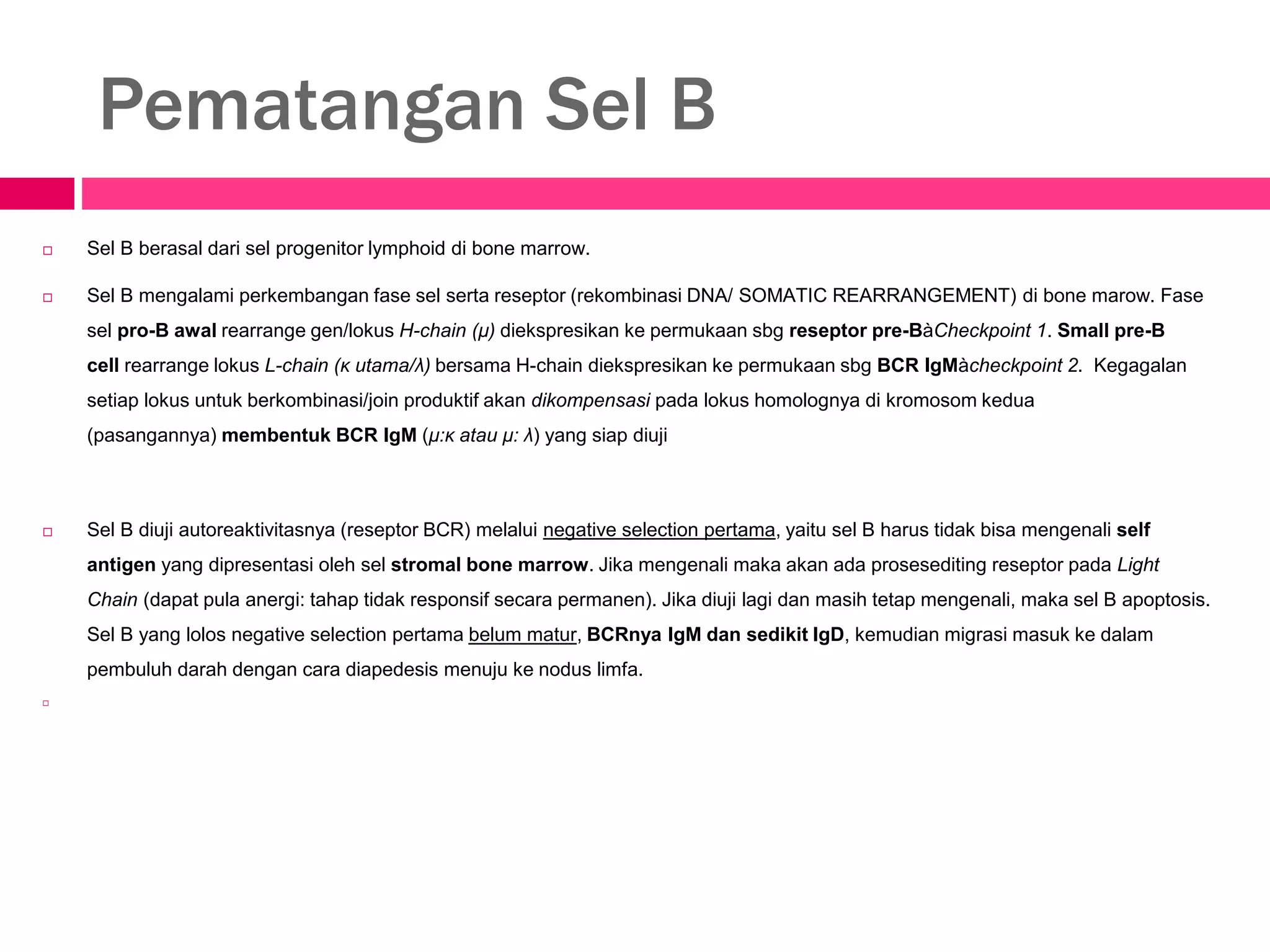 Sel b respon imun humoral | PPTX