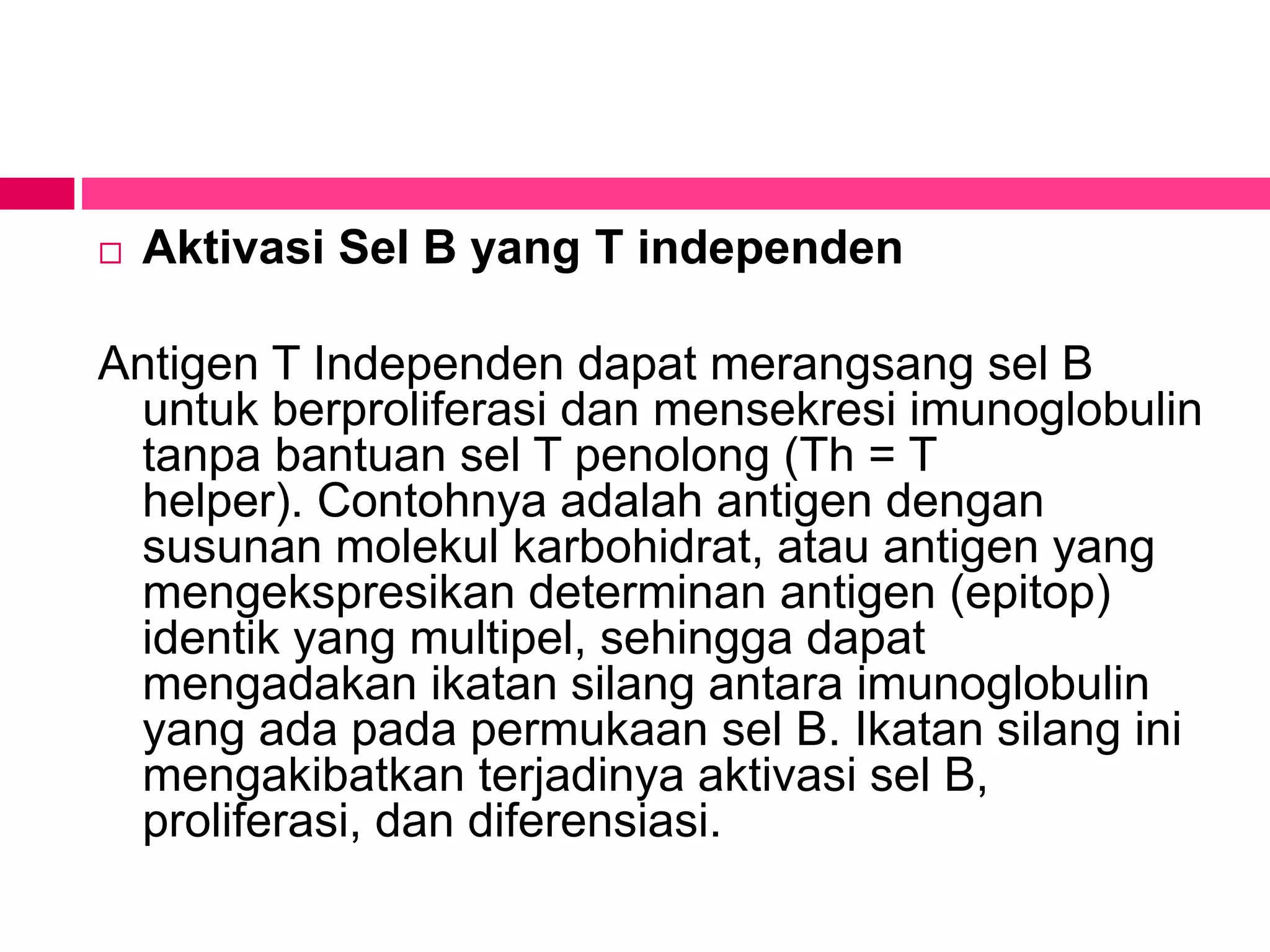 Sel b respon imun humoral | PPTX