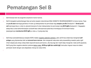 Sel b respon imun humoral | PPTX