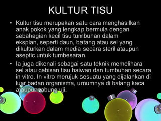 Sel benda hidup (kultur tisu dan pengklonan tumbuhan) | PPTX