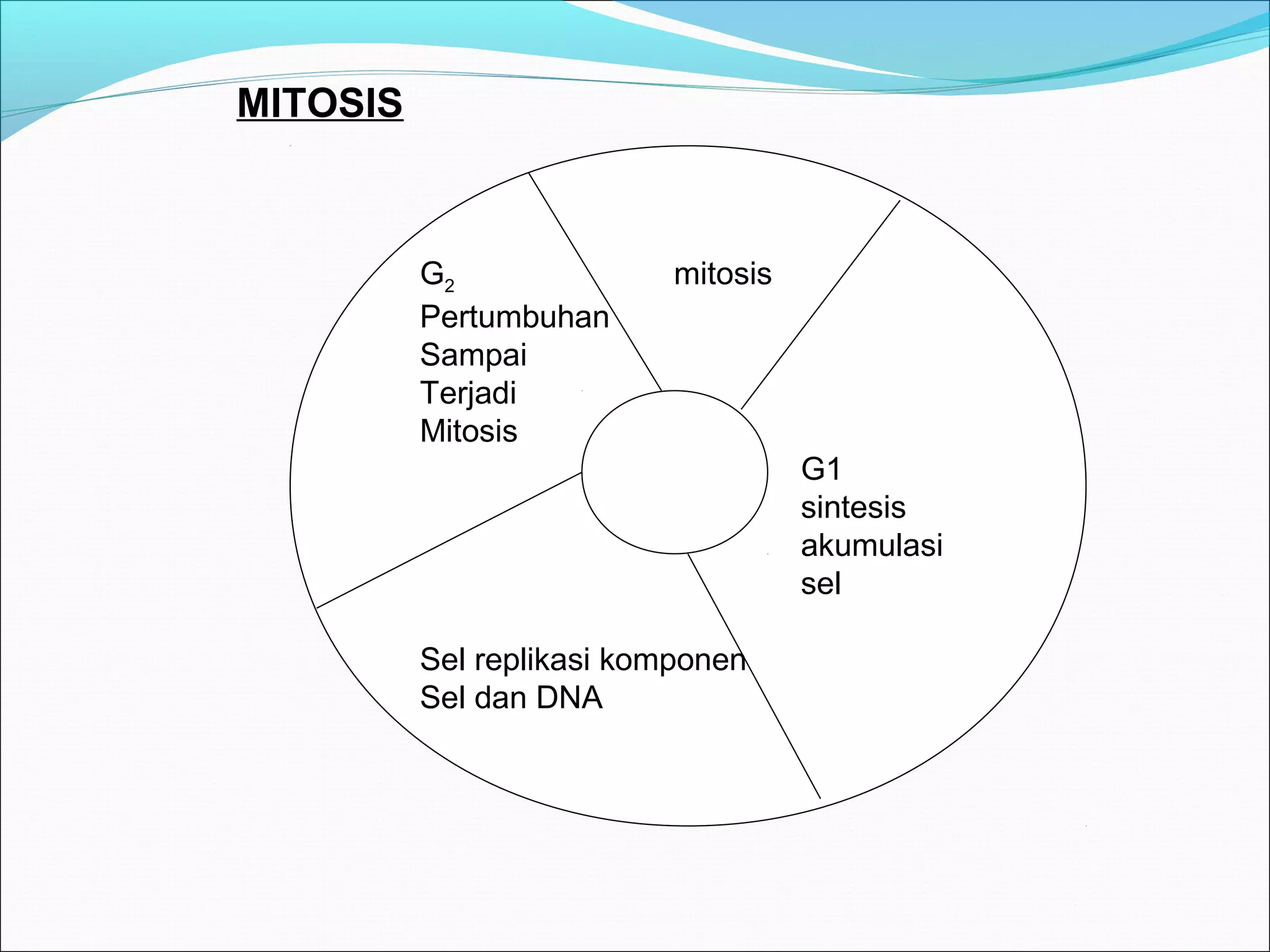 Sel dan genetika (modul sel dan genetika) | PPT